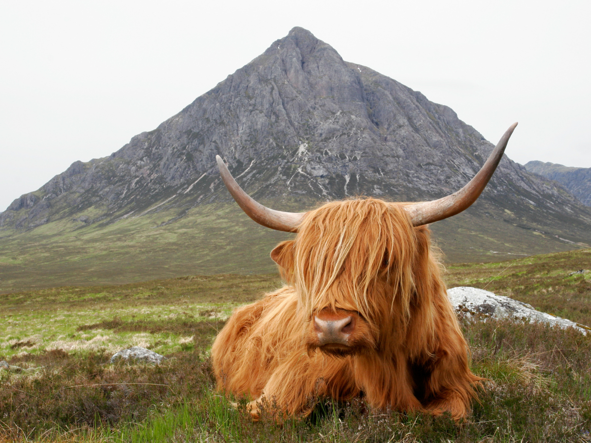 Premium Scotland Trip - October 2026 - Globe Drifters